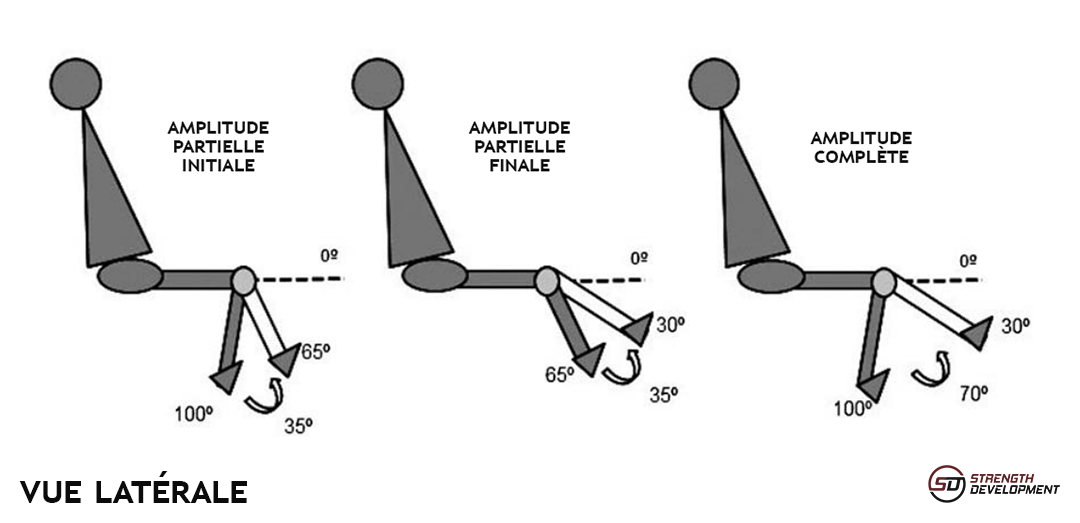 Amplitude de mouvement et hypertrophie - Strength Development